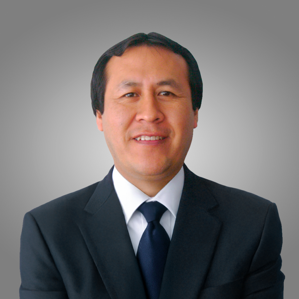 DR. ING. GENNER VILLARREAL CASTRO – 100% Ingenieros