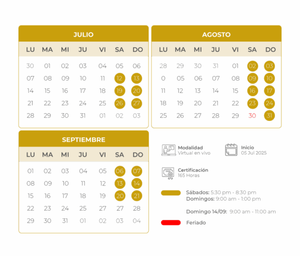 MODELADOR BIM EN EDIFICACIONES – ED 2/25 – 100% Ingenieros
